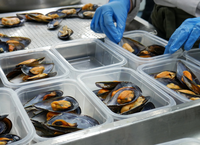 "Tiger" Mussels with tomato pain sauce - Gastronomía Vasca: Escuela de ...