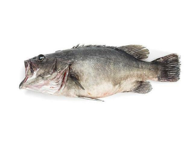 Mero asado con ensalada - Gastronomía Vasca: Escuela de Hostelería Leioa